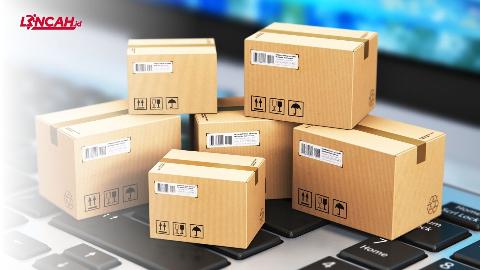 Apa Itu Agregator dan Bagaimana Cara Kerjanya? – Join Lincah! Gratis